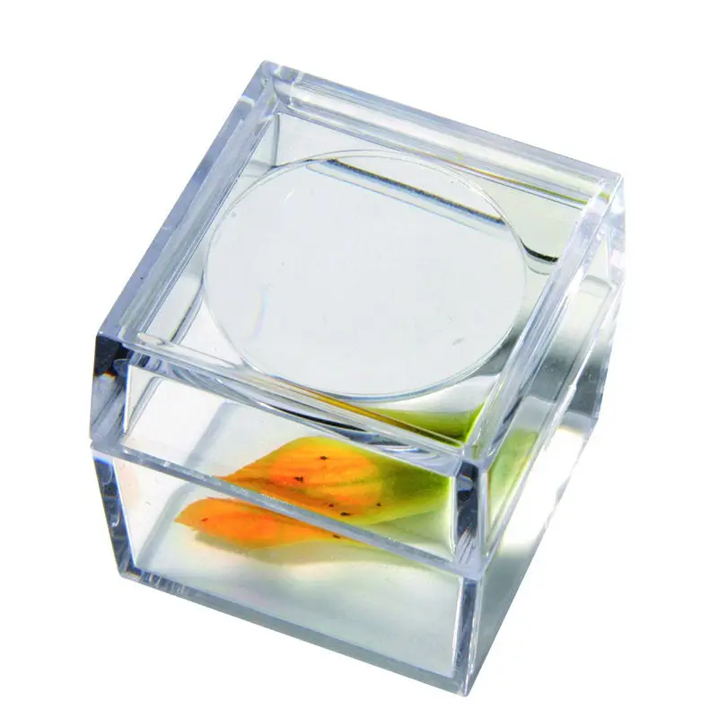 Mini Acrylic Magnifying Box 1x1 Inch | Clear Storage for Mineral ...