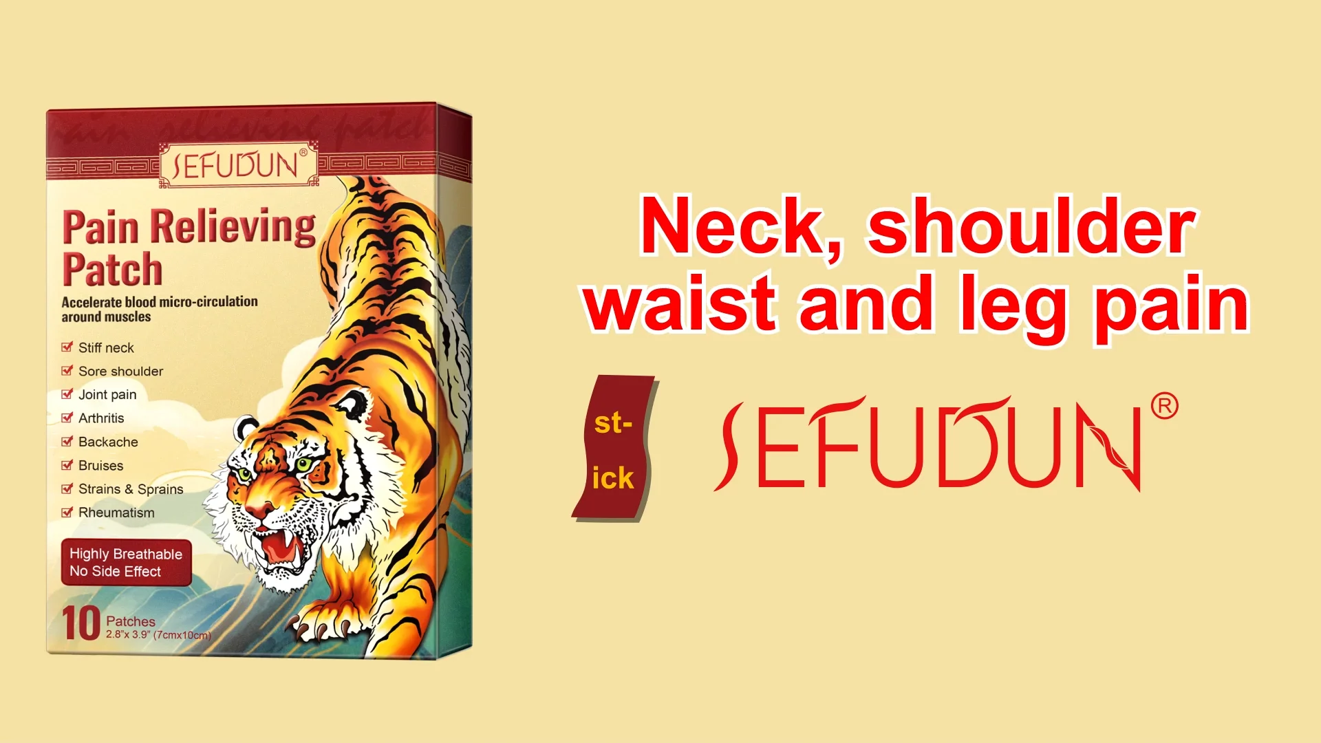 10 Pack Chinese Herbal Knees Joint Neck Quick Pain Relieving Tiger ...