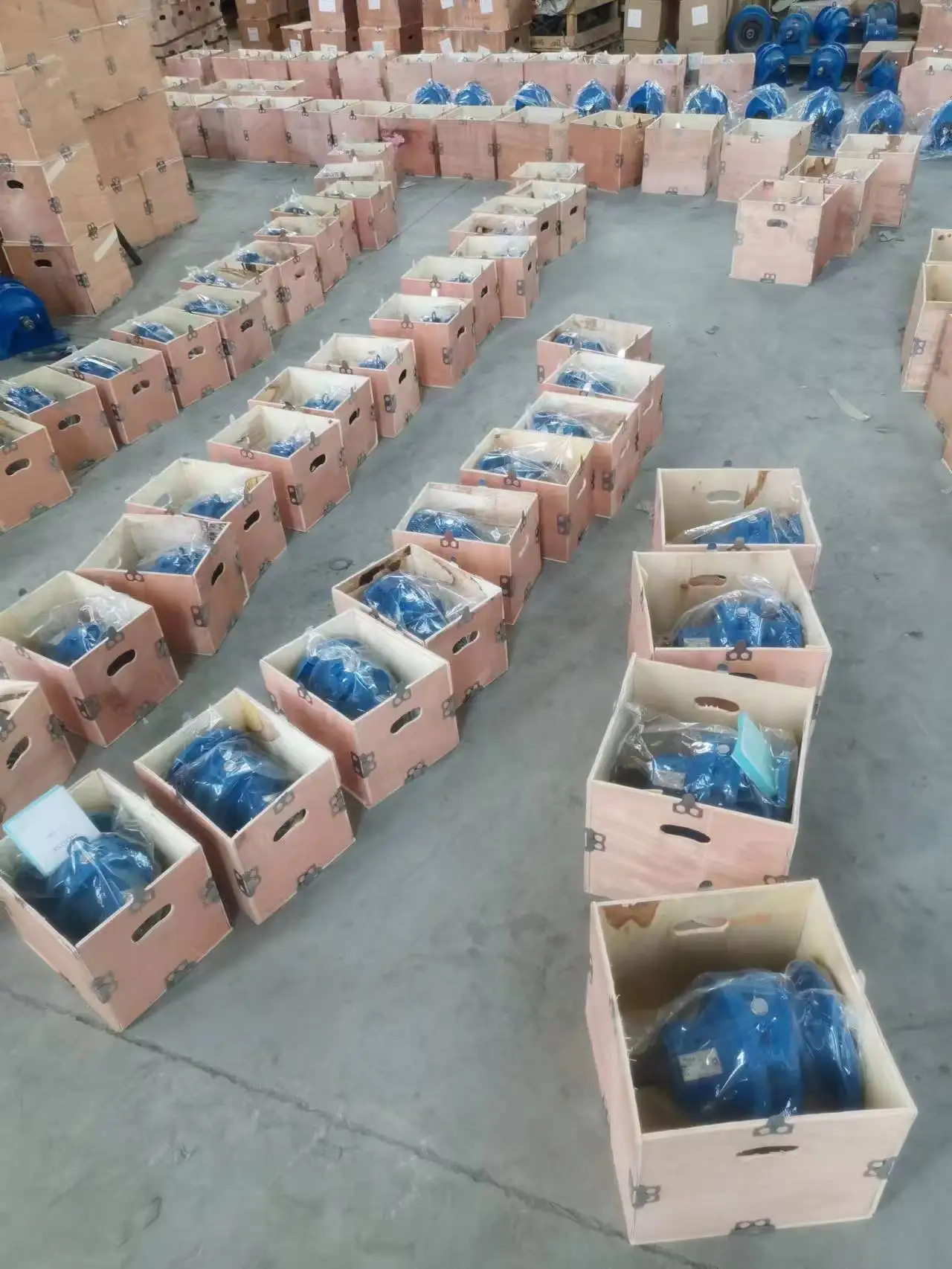 Woruisen Vertical Cycloidal Pinwheel Reducer - Various Speed Ratios