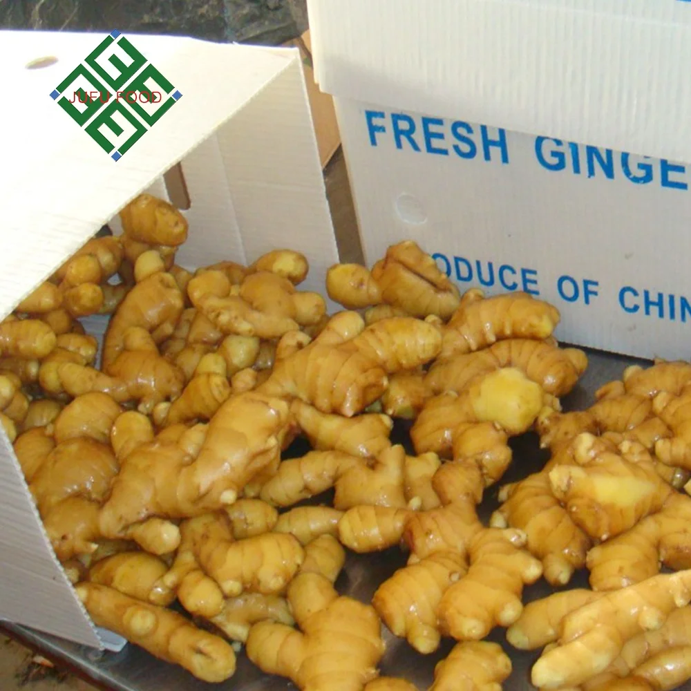 Fresh Chinese Ginger - Buy Ginger Price In China,Chinese Ginger,Market ...