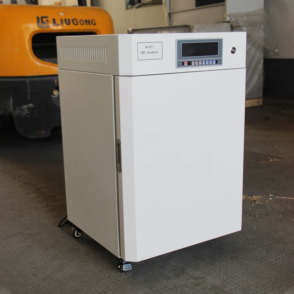 80L Carbon Dioxide Incubator - Precision for Lab Culture
