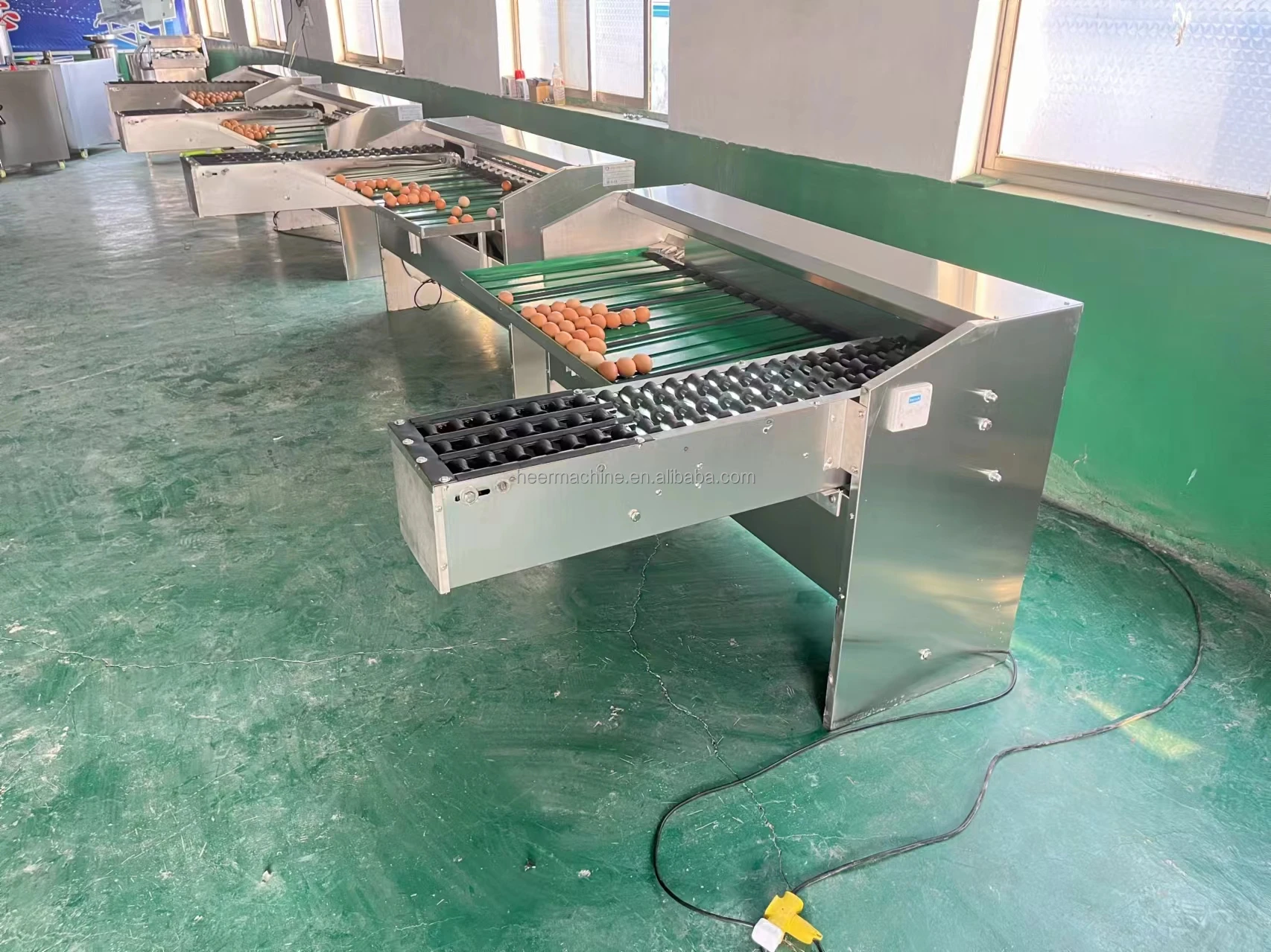 Fully Automatic Five Grades Egg Grader 304 Stainless Steel Duck Goose Hen Egg Weighing Scale ...