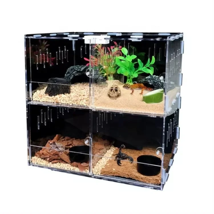 Lucite Reptile Cages For Sale at Clarence Swingle blog