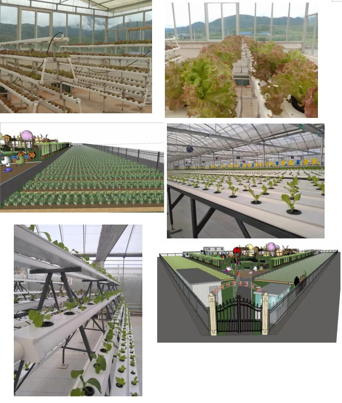 Hydroponic Farming Gully Hydroponic Nft Nft Gully - Buy Agricultural ...