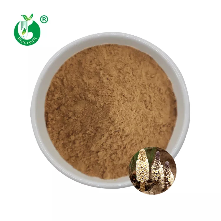 Cistanche Deserticola Extract,Caulis Cistanchis Extract,Bulk Cistanche ...