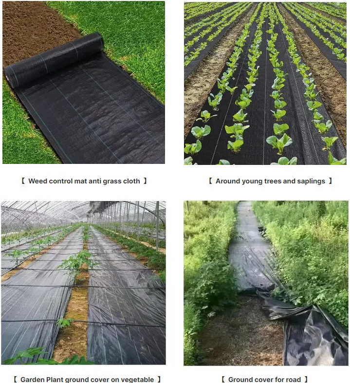 Factory Supply Ground Cover Fabric/weed Barrier Mat/plastic Pp Anti Weed Agro Weed Control Mat ...