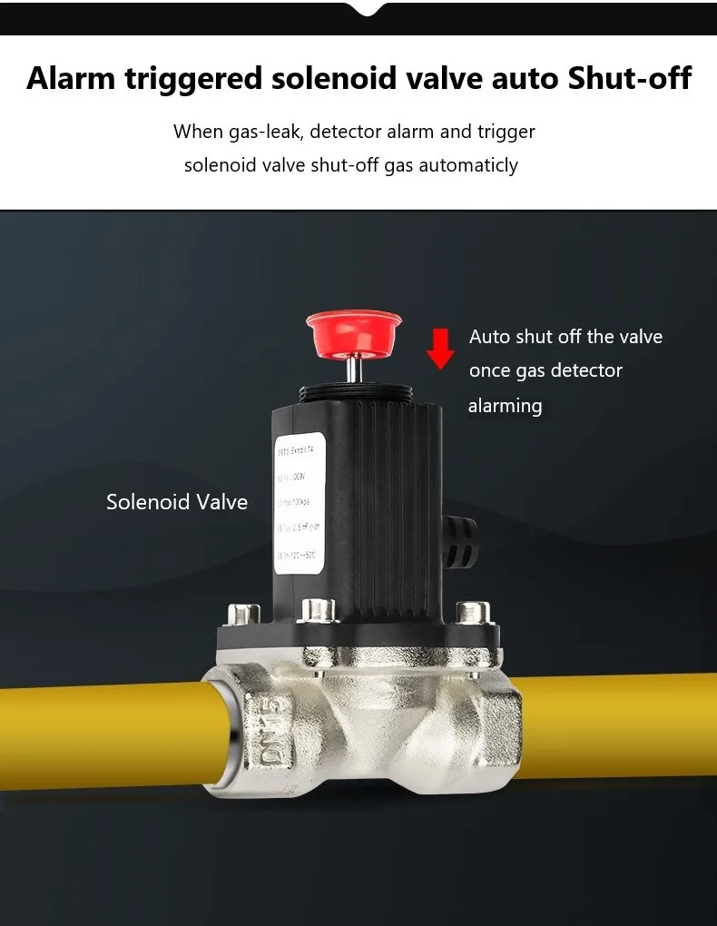 Wholesale DC Emergency Relay Valve Shut off LPG Safety