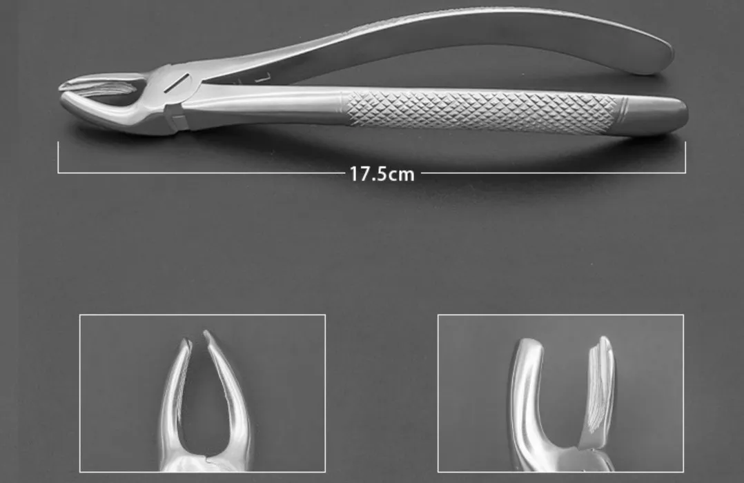 Stainless Steel Adult Extraction Forcep Dental Forceps Set| Alibaba.com