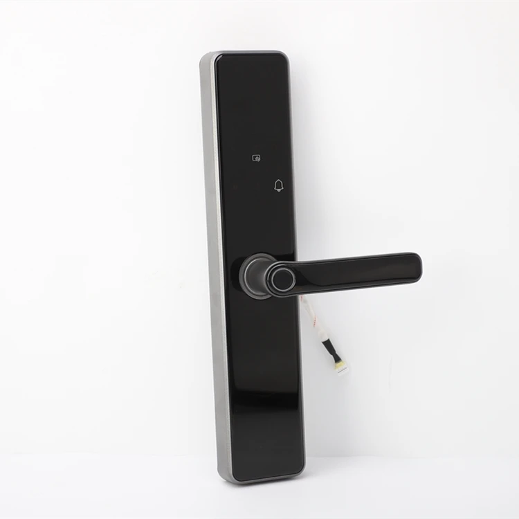 Bilixo OEM Main Door Key Smart Deadbolt Lock Security