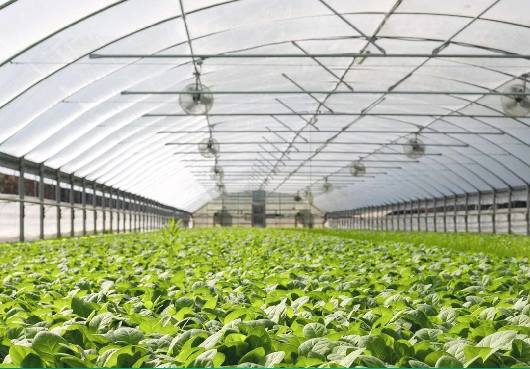 HDPE+ UV Plastic Mesh Resistant Greenhouse Insect Net Anti Insect Net ...