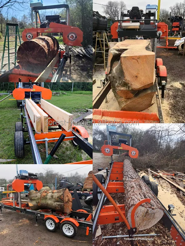 RS36 1000mm Width Horizontal Log Band Sawmill - Portable & Efficient