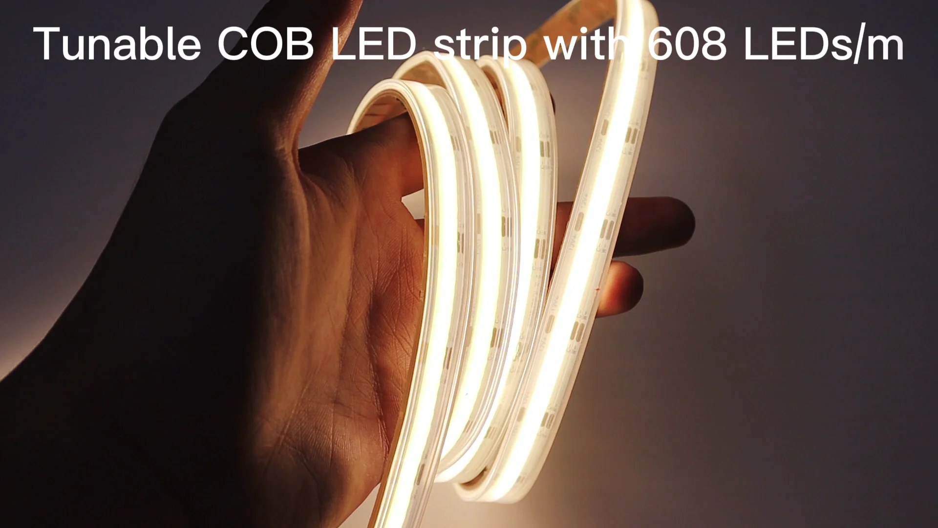 High Density Led Tape Ribbon Light Dc12v 24v 480leds 8mm Ip20 9w/m ...