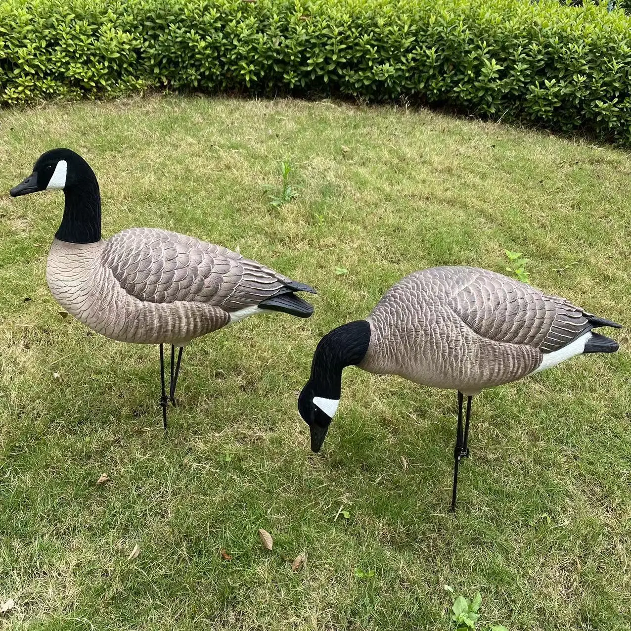 Wholesale Outdoor EVA Plastic Hunting Decoys - Realistic Goose