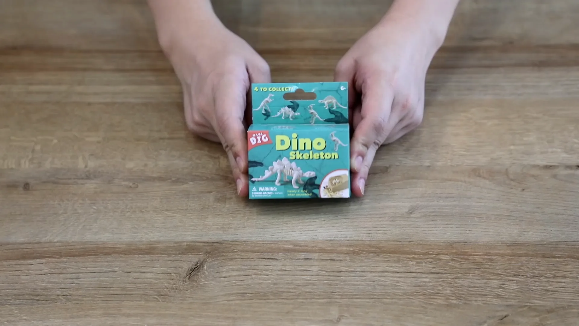 Mini Dinosaur Skeleton Dig Toys Archaeology Kids Exploration Dig Kits ...