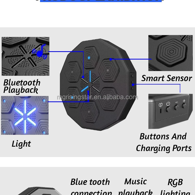 RS Electric Home Interactive Intelligent Music Boxing Target Trainer ...