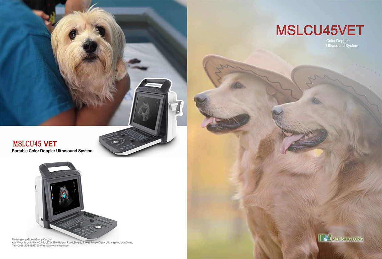 Portable Zoncare M5 Ultrasound Equipment - Digital Vet Diagnostic Color ...