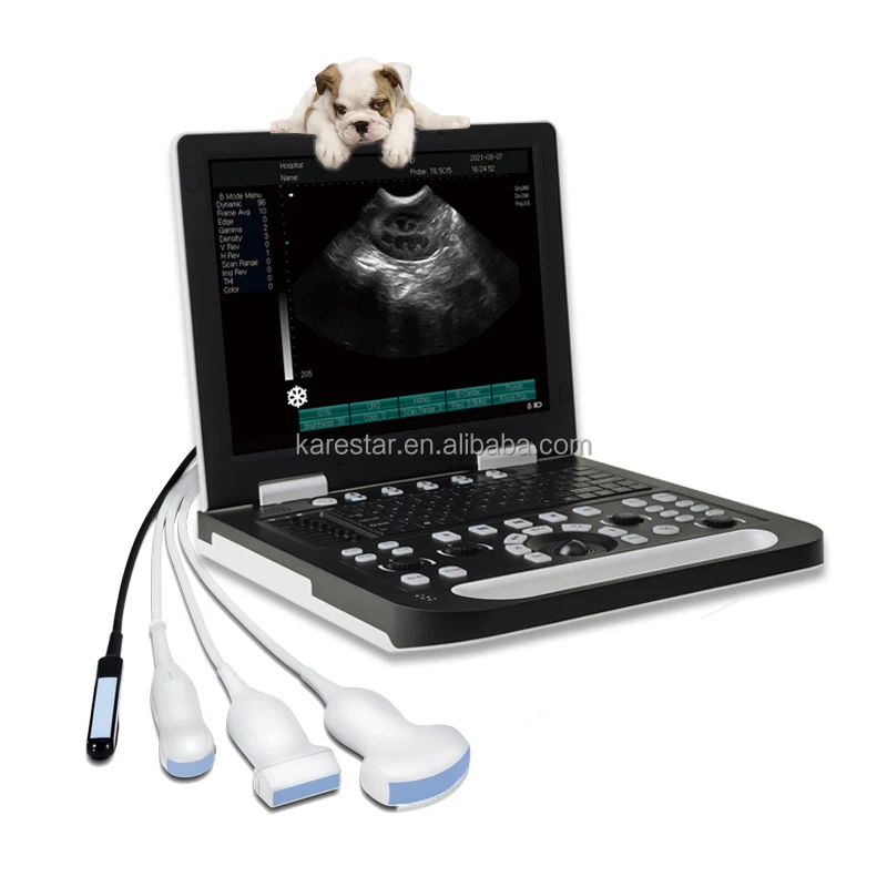 Vet Ultrasound Dp 50 Mindray Veterinary Ultrasound Portable Color Doppler Mindray Ultrasound Usg ...