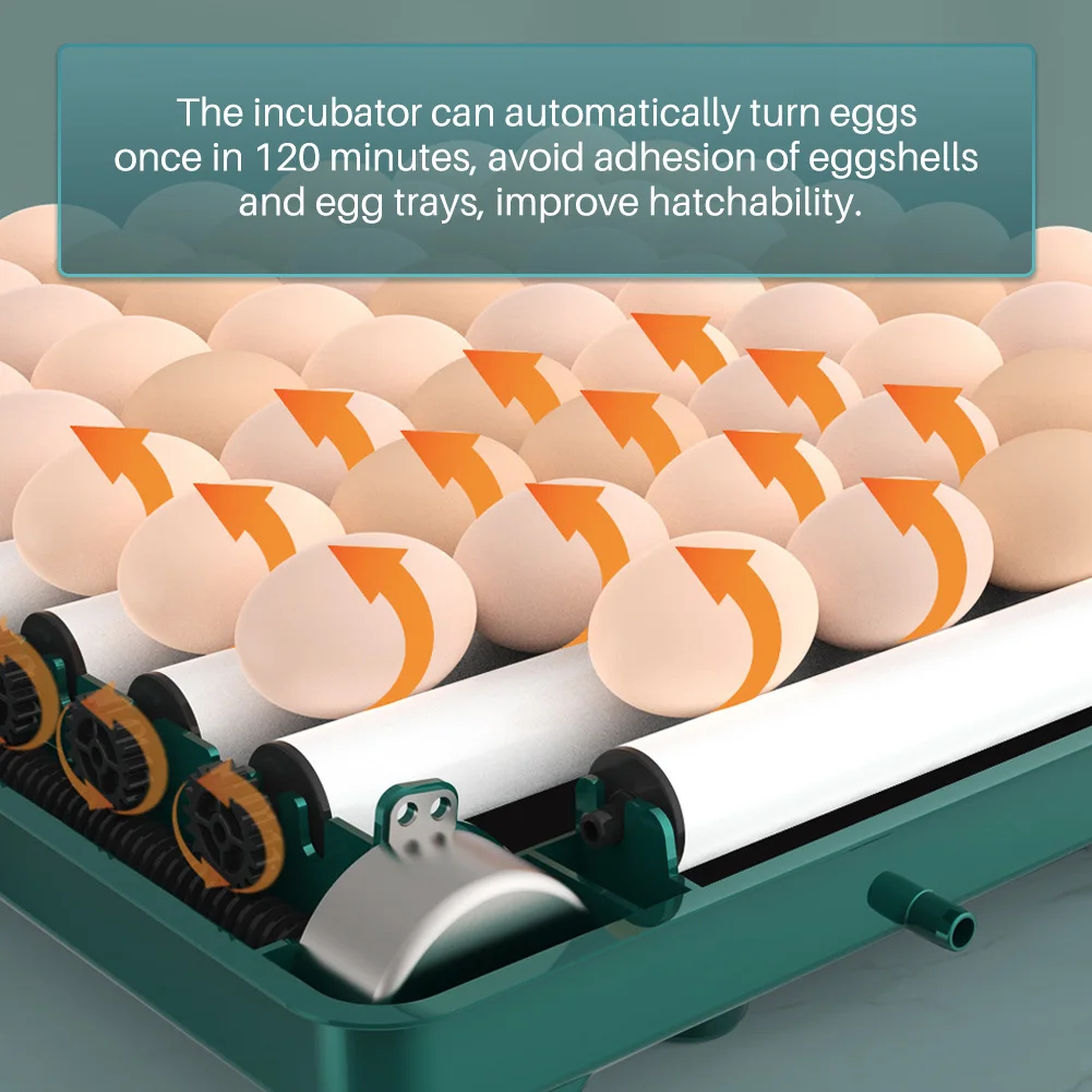 38 Eggs Incubator Machine - Efficient Hatching Solutions