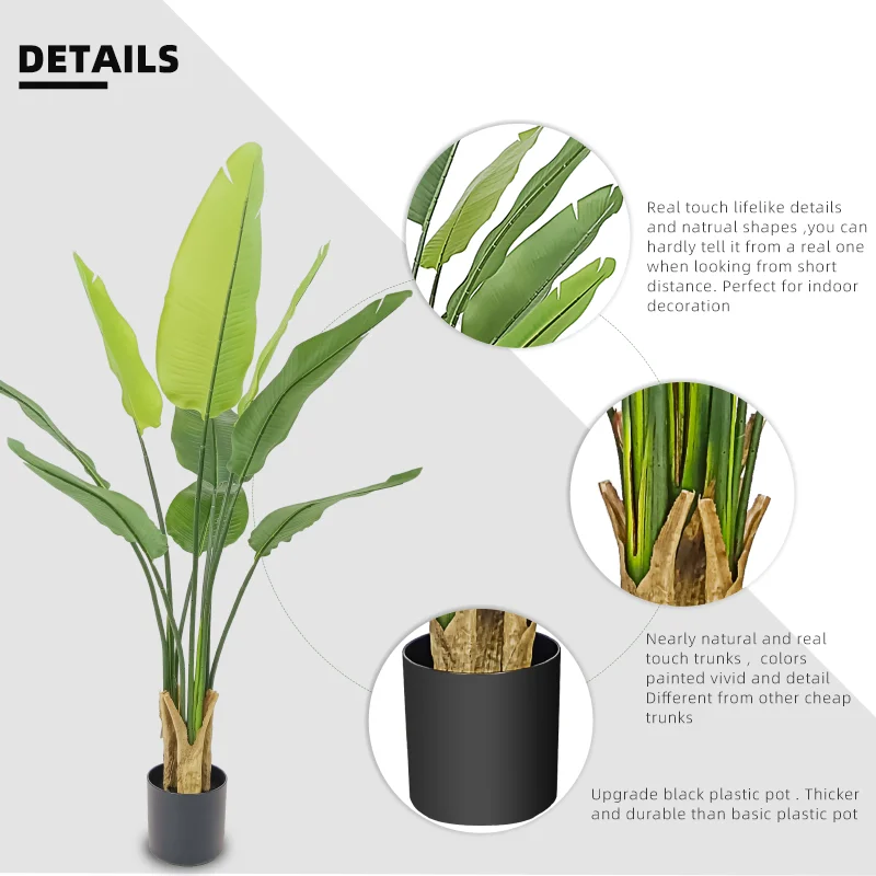 Shop High Quality Outdoor Plants - Perfect for Any Garden