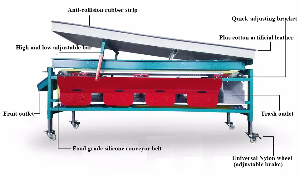 Multi-functional Fresh Medjool Dates Sorting Machine For Vegetable And ...