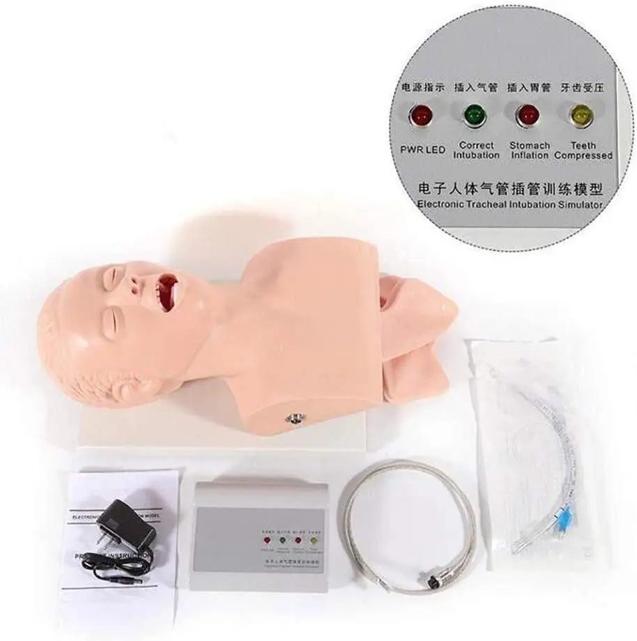 Kyrenmed 3d Human Electronic Intubation Manikin For Medical Training Odm