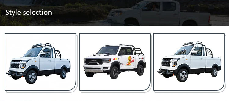 Cargo Load 4x4 Small Mini Electric Car - Silent Motor Power