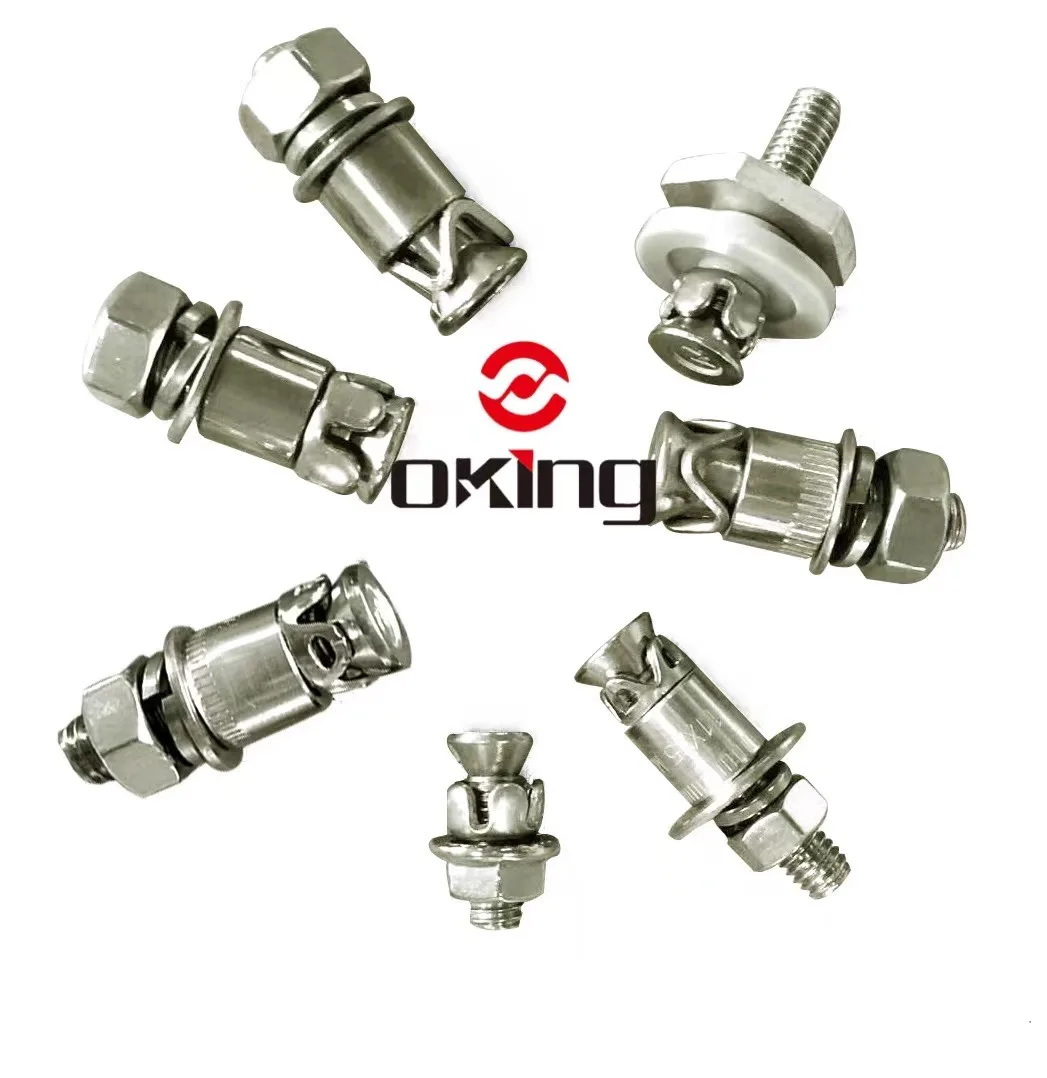 Stainless Steel 304 316 Undercut Anchor Bolt Curtain Wall Fittings for ...