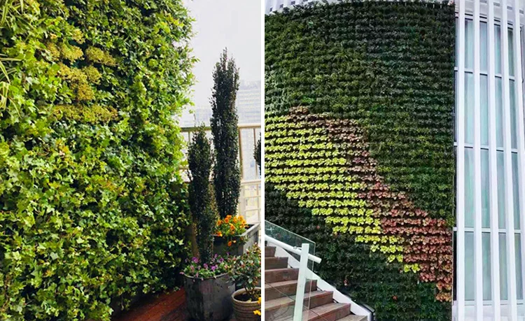 Living Wall Planter System Indoor and Outdoor Vertical Wall Garden ...