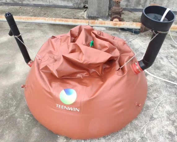 Family Home Size Biogas Plant Digester System - TEENWIN