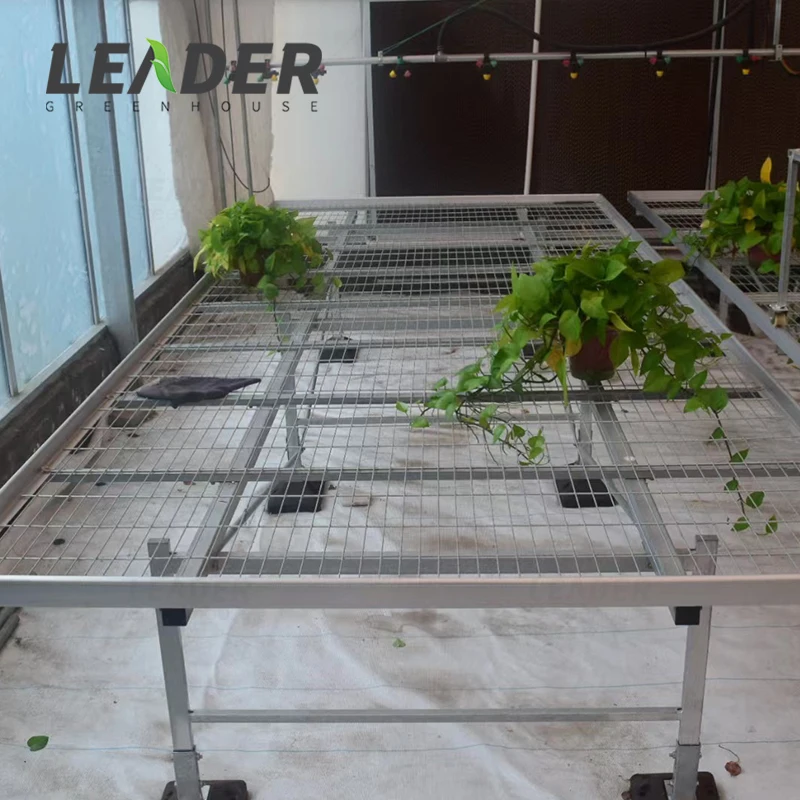 Greenhouse Wire Table Vegetable Growing Bench Table With Galvanized ...