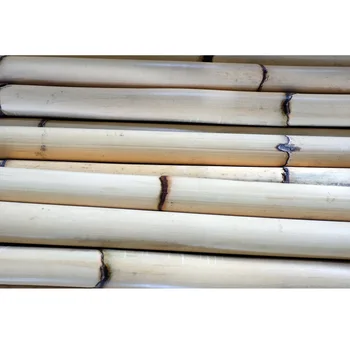 3m And 4m Raw Rattan Cane/ Bamboo Canes Sticks For Sale - Buy Bamboo ...