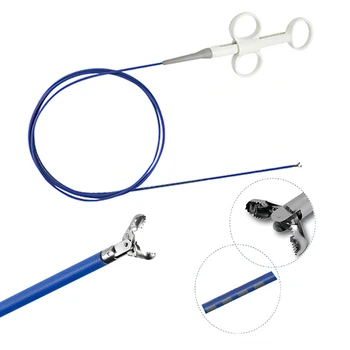 Colonoscopy Biopsy Forceps Endoscopy Single Use Sampling Forceps ...