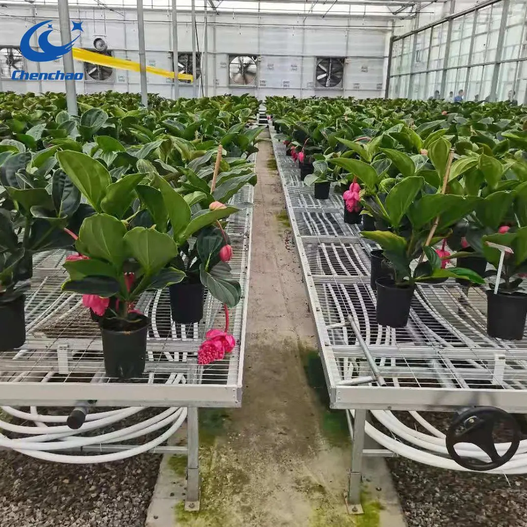 Expanded Metal Bench Top Panels Greenhouse Rolling Bench - Buy ...