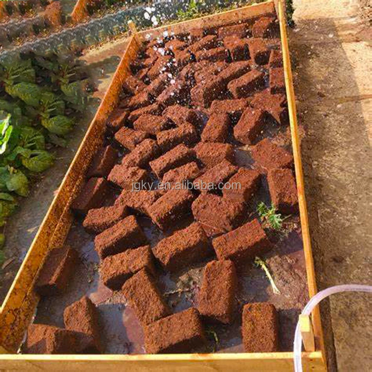 Coconut Brick Coconut Shell Brick Peat Brick For Horticulture Cultivation Substrate - Buy ...