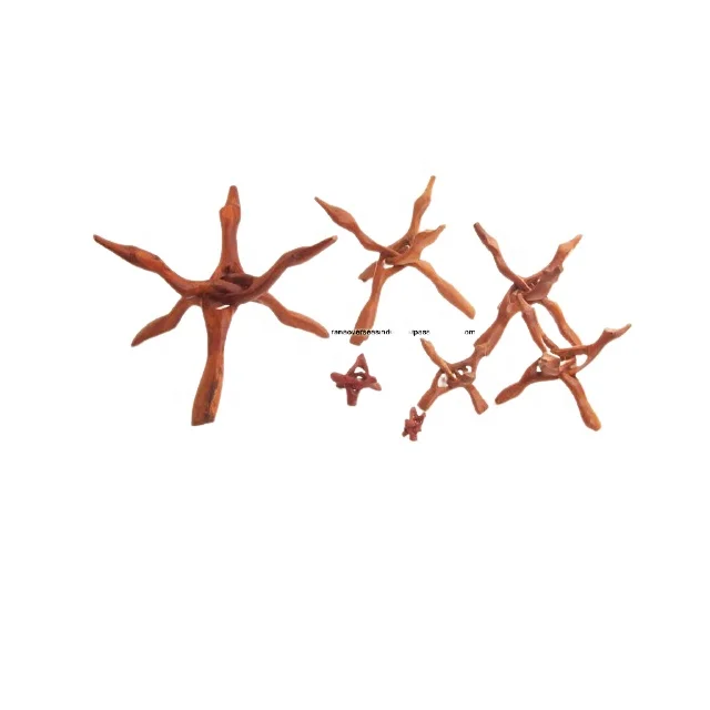 Wooden Stands For Seashells,Gems,Stones,Rocks,Minerals,Ostrich Eggs ...