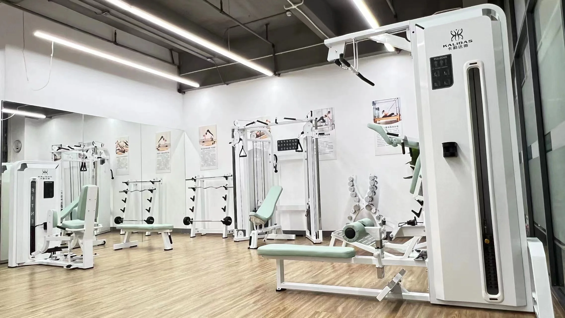 Jlc-dj166 Hack Squat Bodybuilding Super Squat Gym Equipment Commercial ...