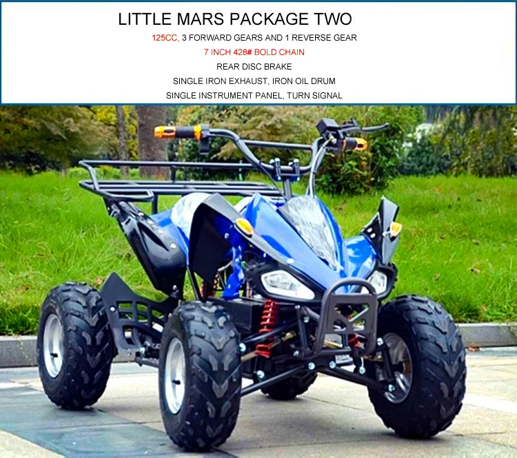 300cc 4 Stroke Big Gas Powered Utility Adults Quad Bike Atv For Cheap ...