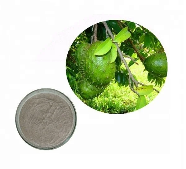 Wholesale Natural Graviola Leaf Soursop Juice Powder Graviola Extract ...