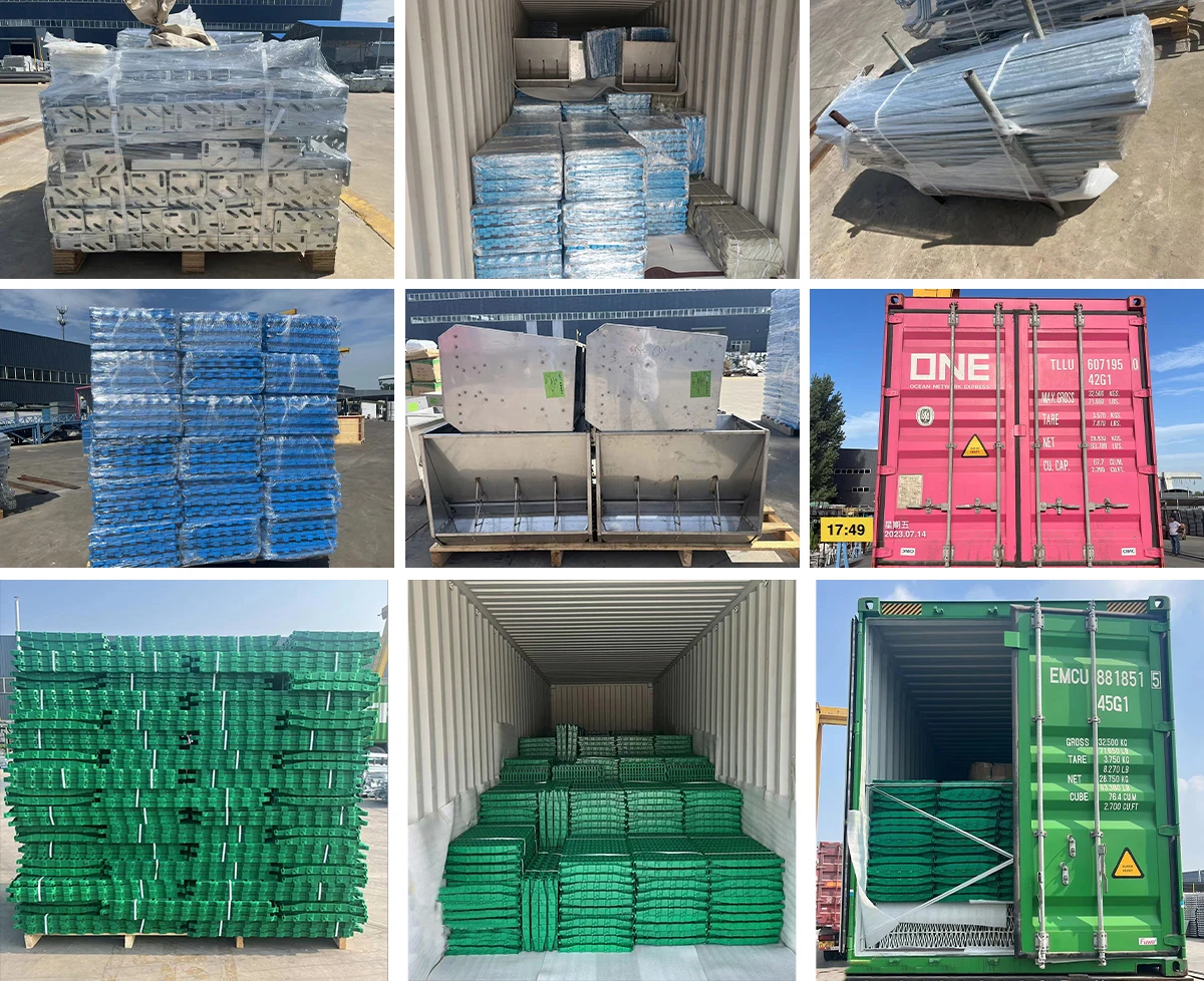 Steel Frame Pig Farm Structures Building Design Prefabricated Steel ...