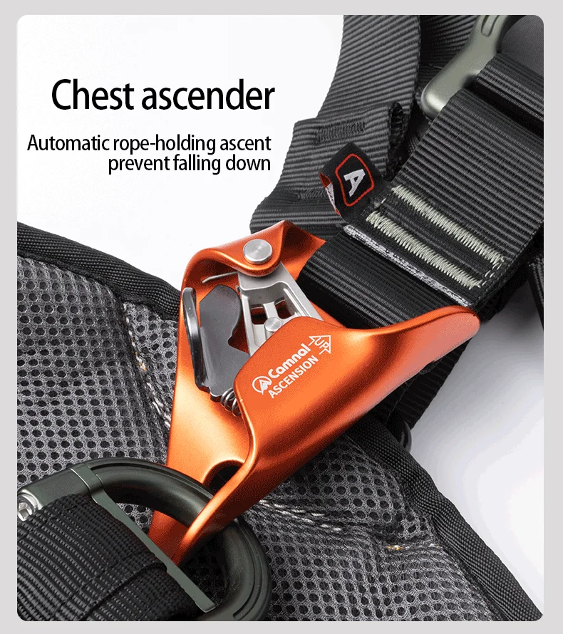 Full Body Safety Harness for Fall Arrest - Adjustable, CE Certified ...
