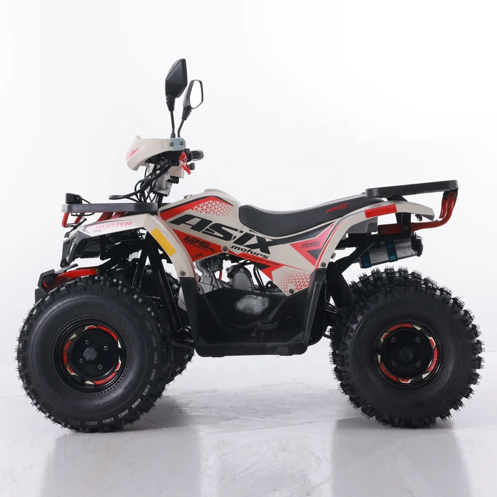 Chinese 125cc ATV - Tao Motor Automatic Chain Drive 2024