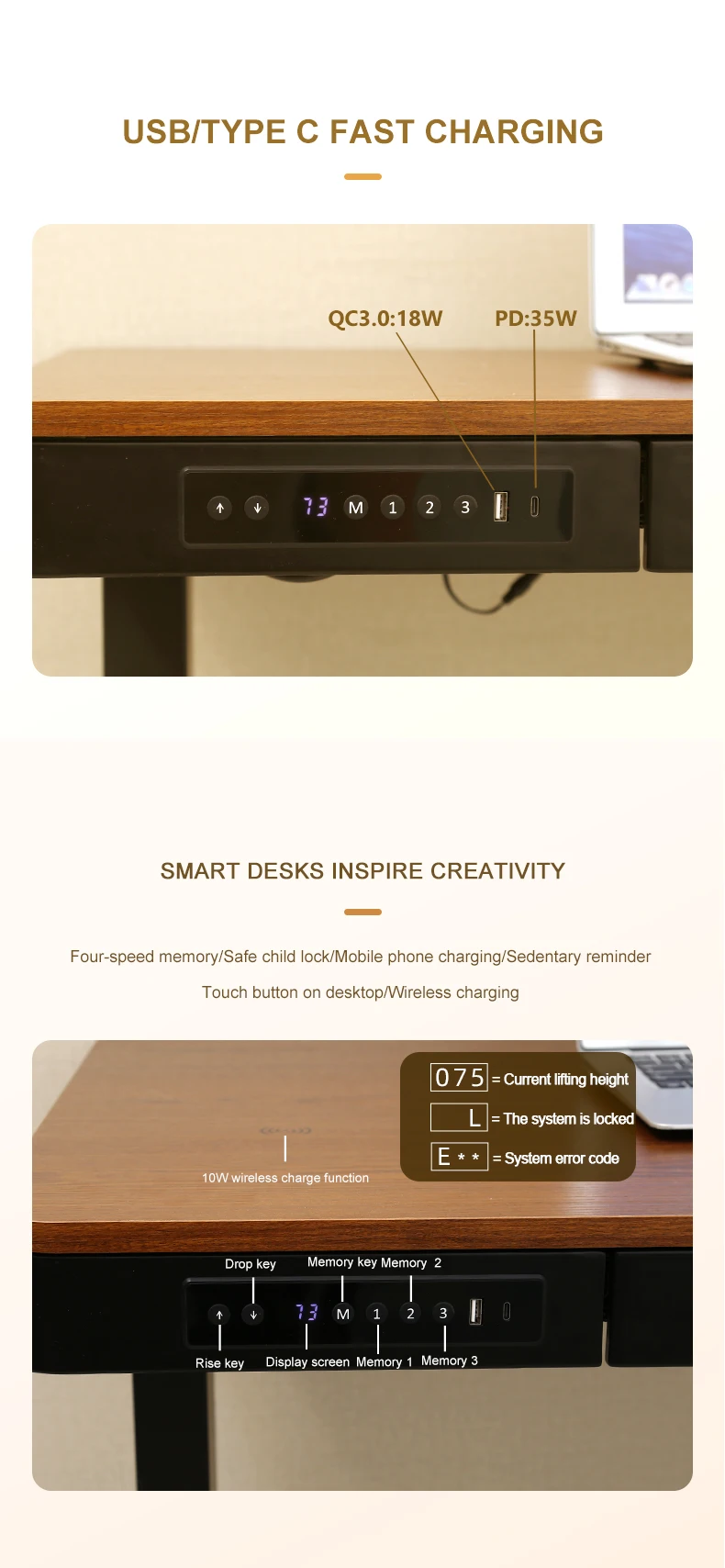Dual Motor Telescopic Ergonomic Electric Height Adjustable Work and ...