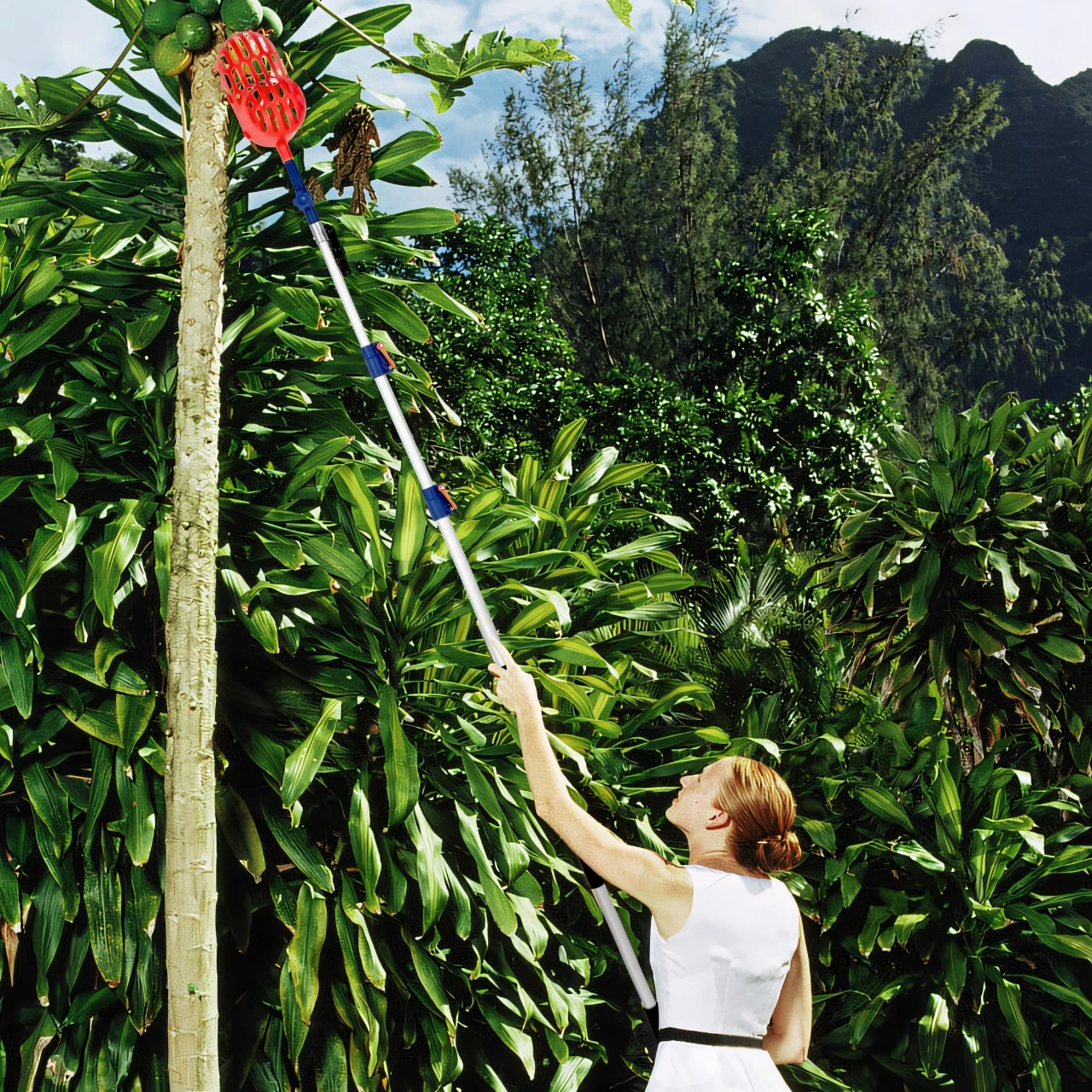 Fruit Picker with Aluminum Alloy Telescopic Extension Pole