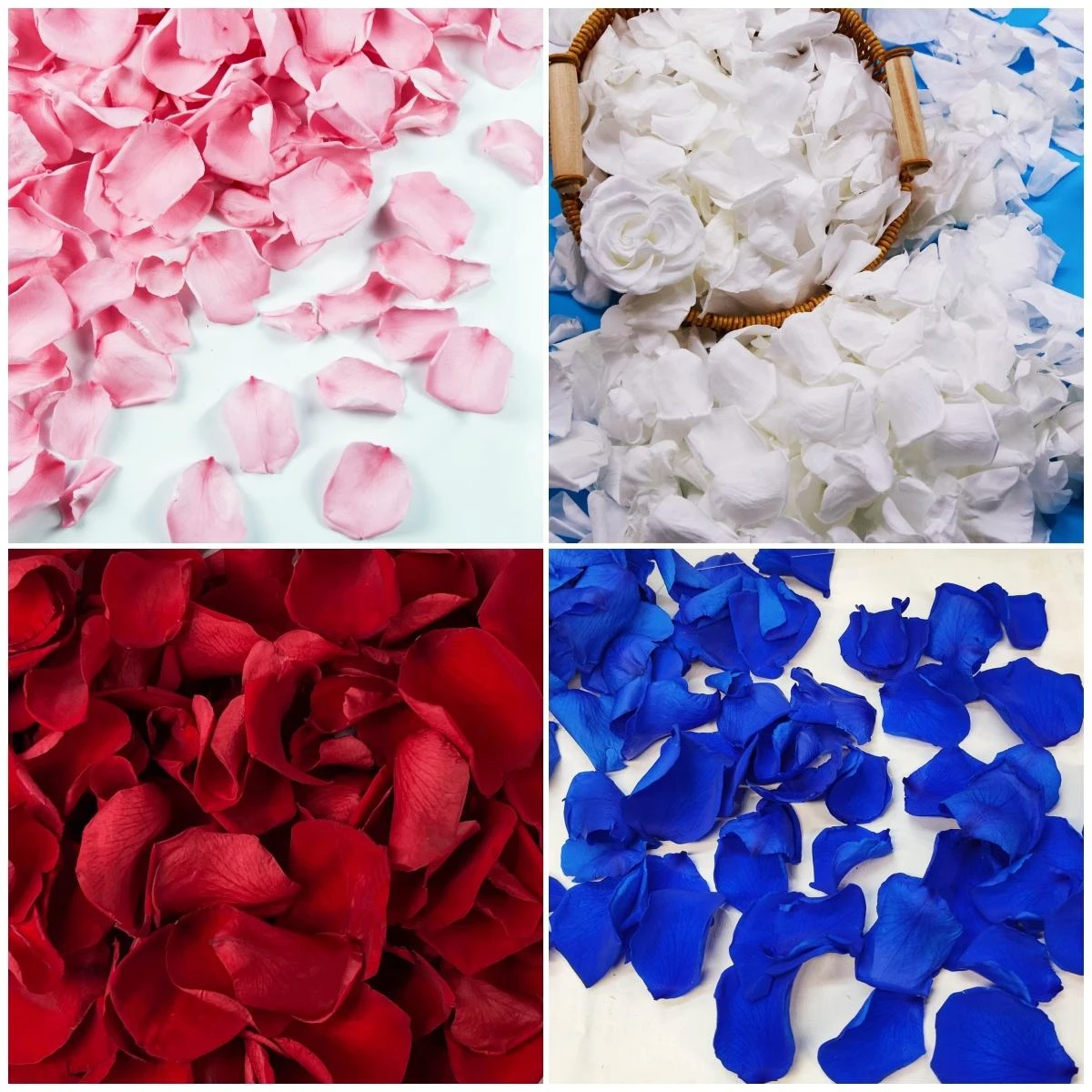 UKIQUEEN Wholesale Preserved Rose Petals Real Touch Diy Material ...