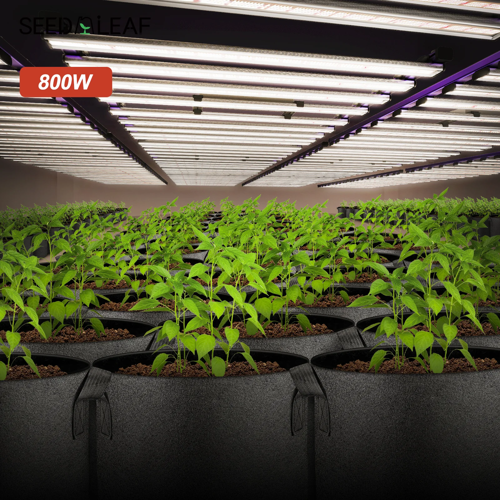 Seednleaf 800W 8 Bars Vertical Farming LED Growing Lamp Full Spectrum ...