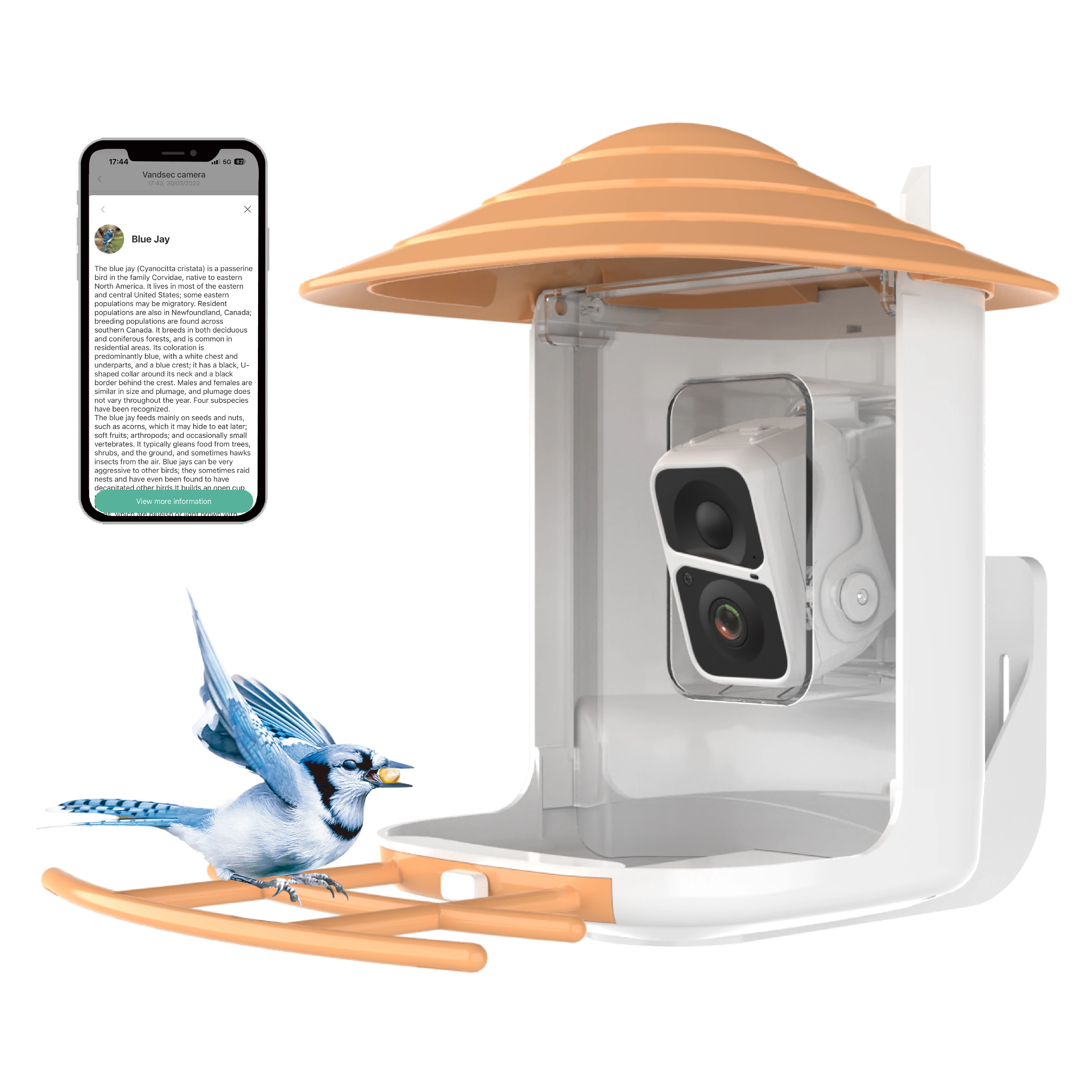 Hot Sale Automatic Identification and Capture Bird Watching FHD Smart ...
