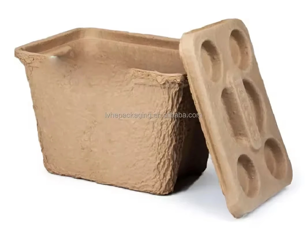 Customized 12L Eco-Friendly Biodegradable Pulp Storage Box Paper Ice ...