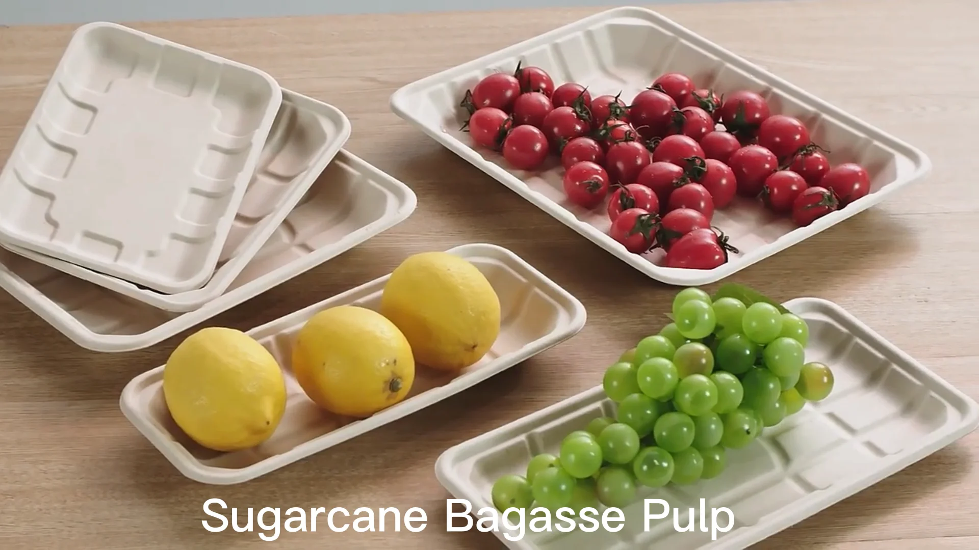 Free Sample Disposable Compostable Microwavable Sugarcane Bagasse ...