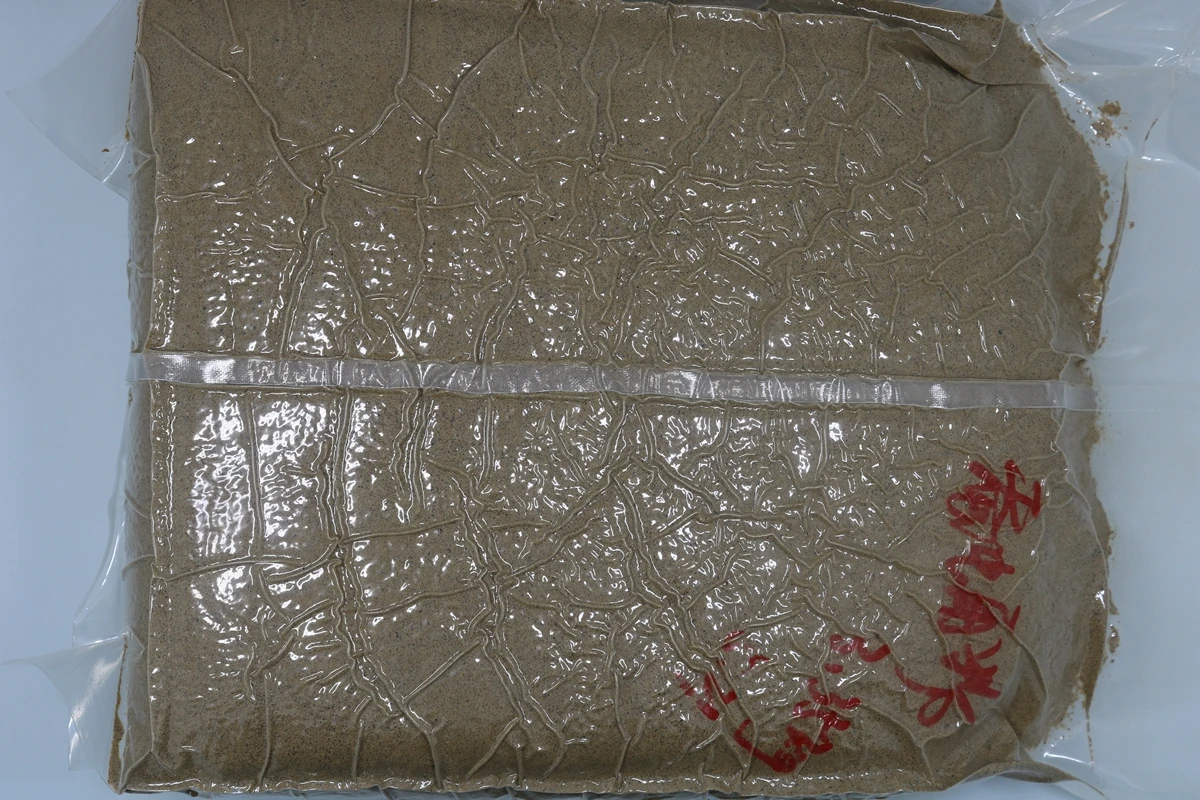 Black Soldier Fly Larvae Powder - Edible Insect Protein