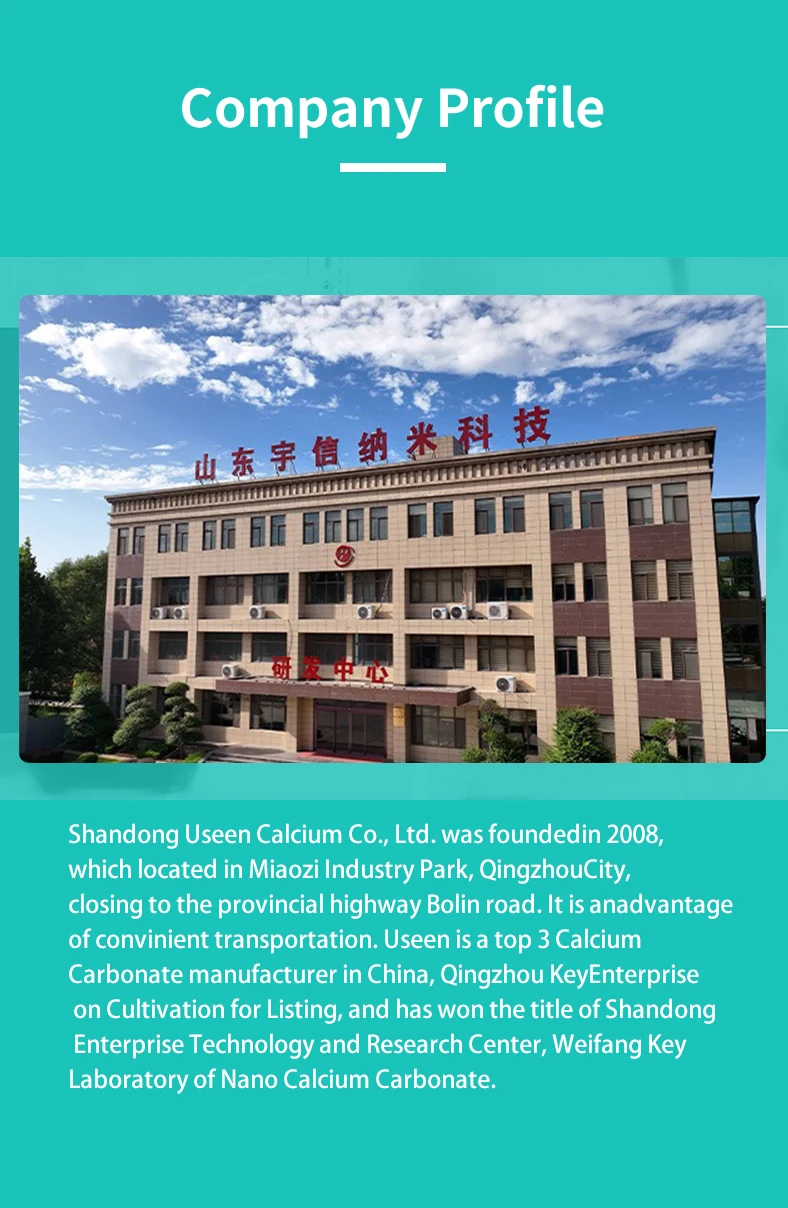 Industrial Nano PCC Calcium Carbonate CaCO3 | High-Whiteness Limestone ...
